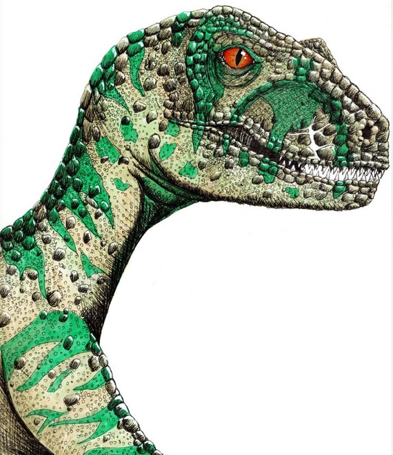 Dibujo De Raptor Charlie Jurassic World 9+ Hundred Velociraptor Blue