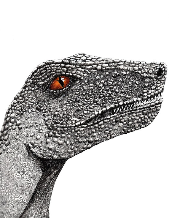 Dibujo De Raptor Charlie Jurassic World 9+ Hundred Velociraptor Blue