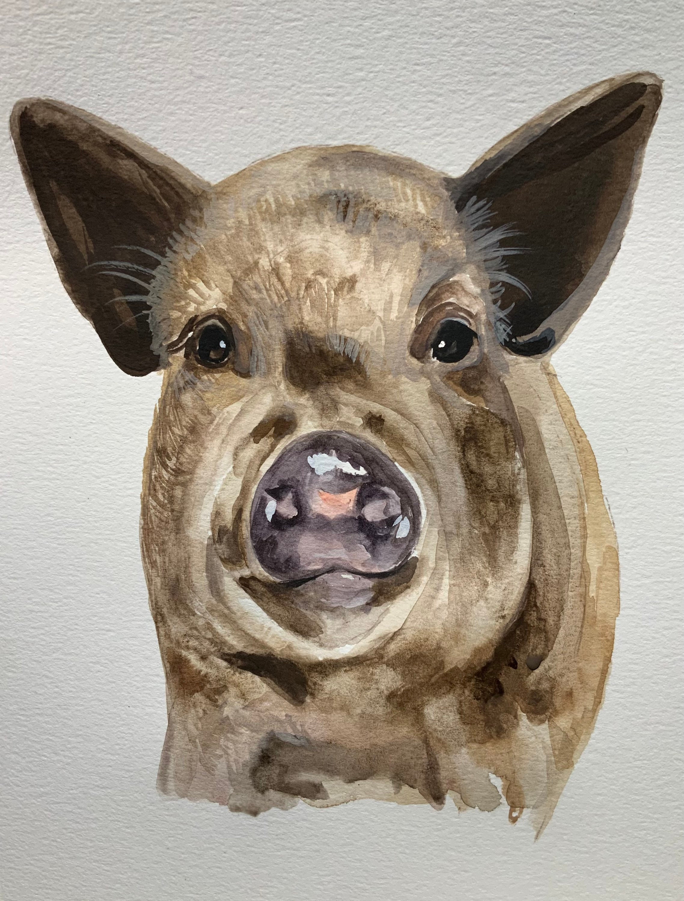 Hand Painted Watercolor Pet Pig Portrait Gift 8x10 Inches - Etsy