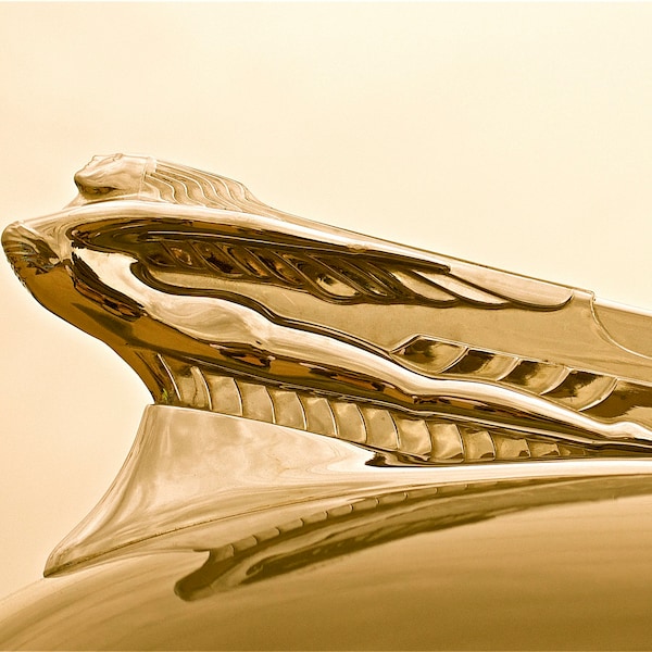 Hood Ornament - Etsy