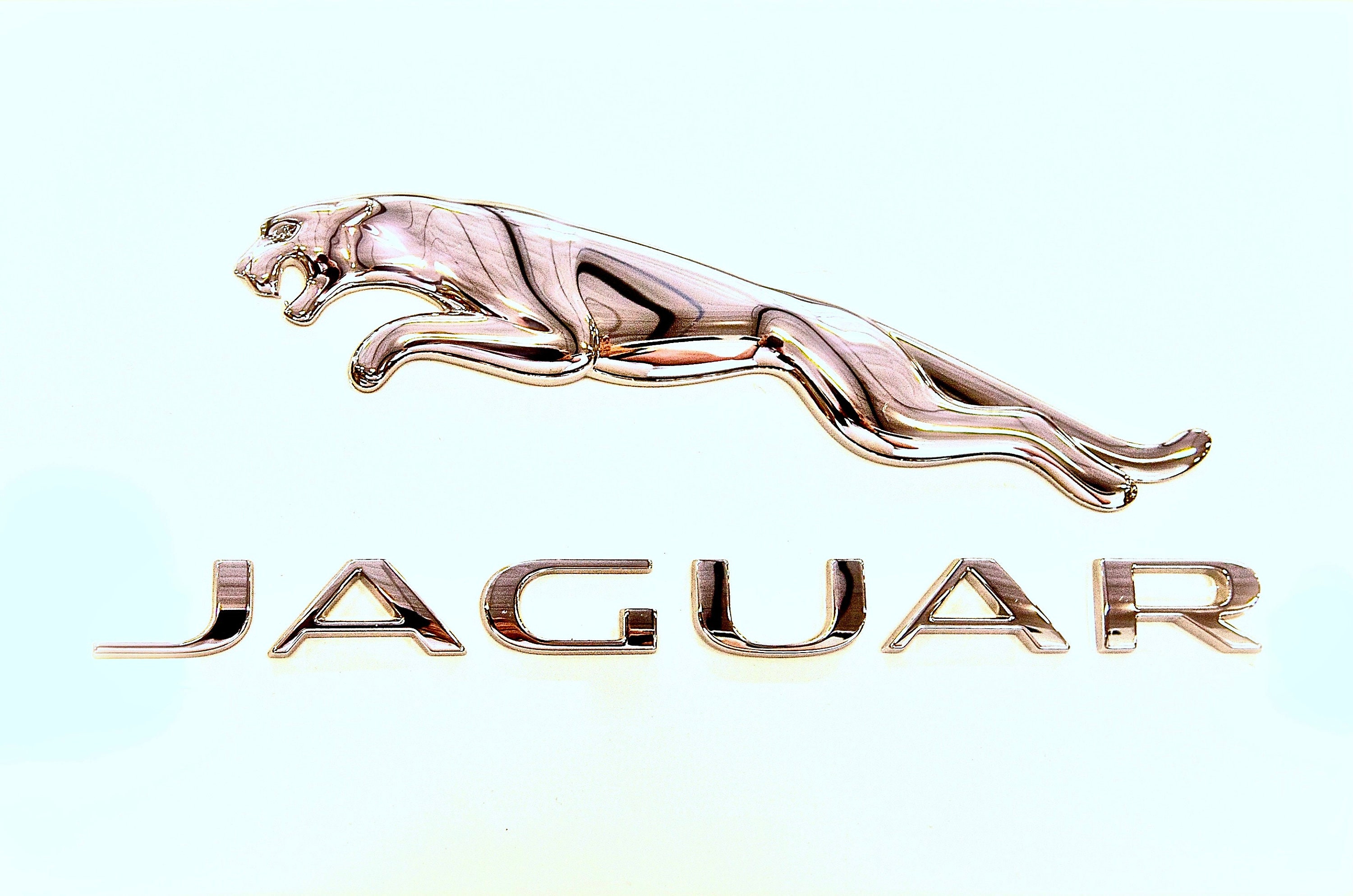 Jaguar Logo 3d Model