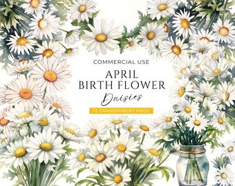 Daisy PNG, Watercolor Daisy Clipart Bundle, Spring Floral PNG, Flower ...