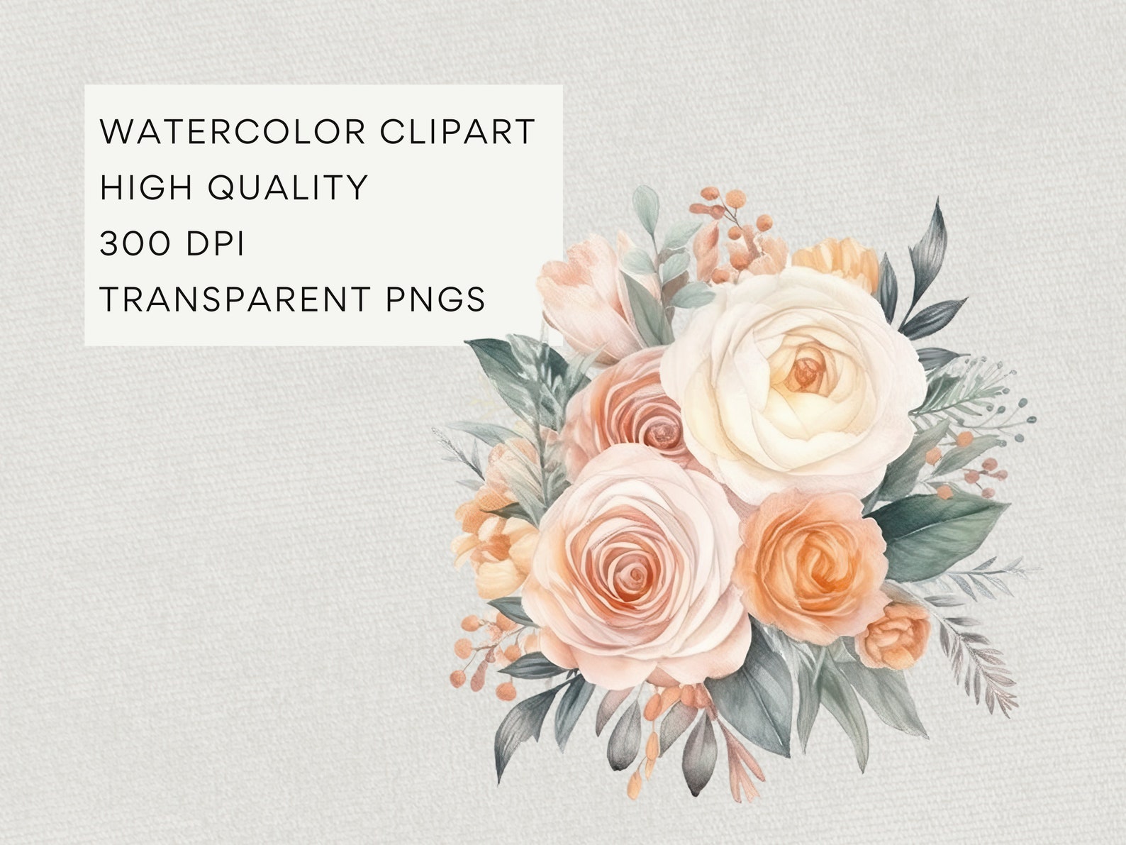 Peach Rose Clipart, DIGITAL DOWNLOAD, Peach Floral Clipart, Spring ...