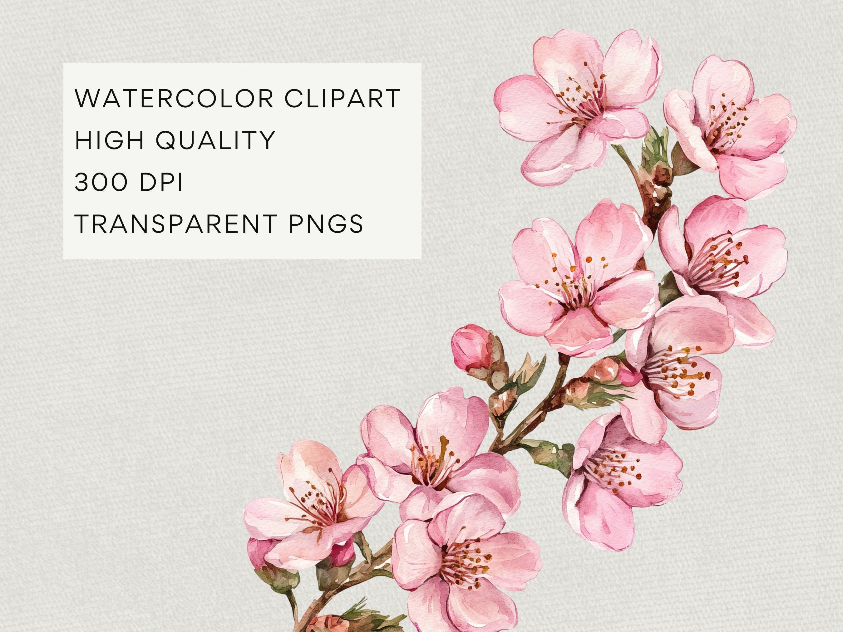 Cherry Blossom Clipart, Watercolor Sakura Flower Clip Art, Pink Floral ...