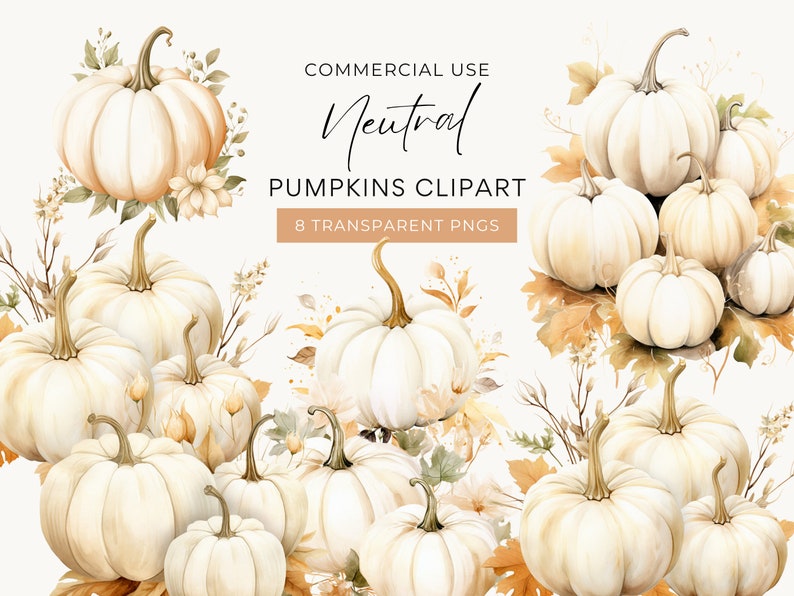 White Pumpkin Clipart, DIGITAL DOWNLOAD, Pumpkin Clipart Baby Shower ...
