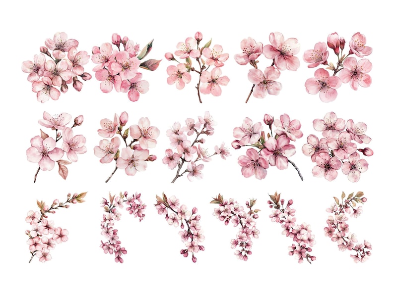 Cherry Blossom Clipart, Watercolor Sakura Flower Clip Art, Pink Floral ...