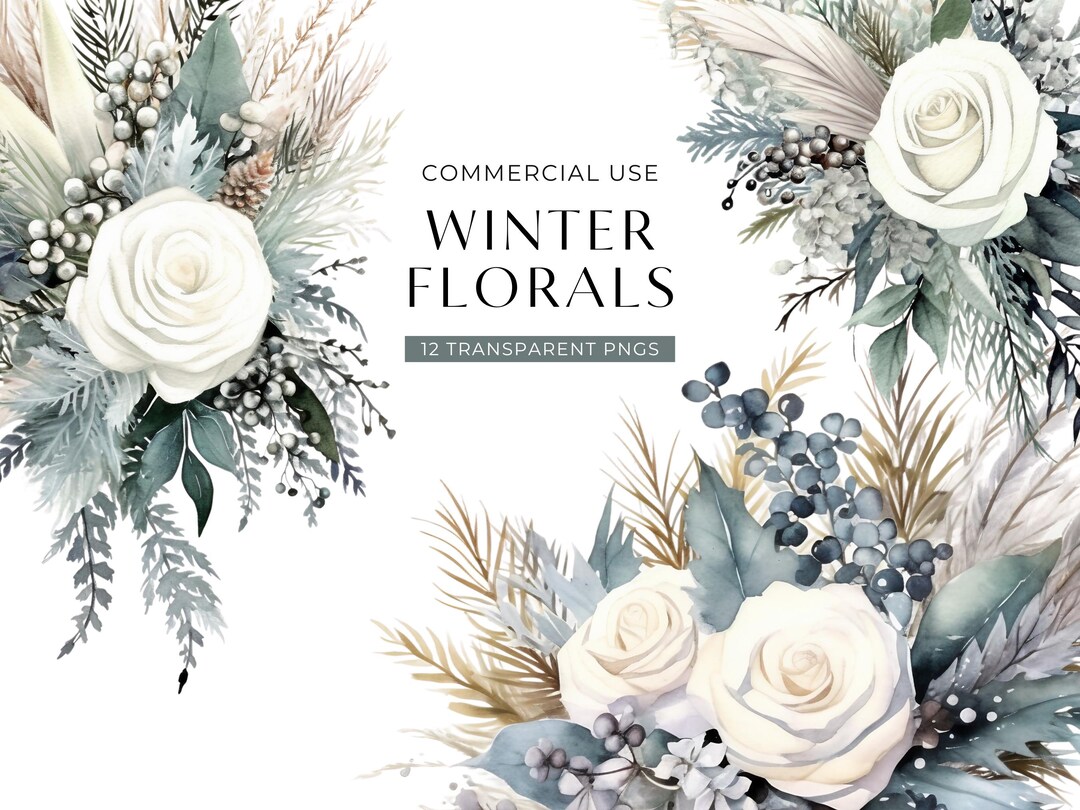 Winter Watercolor Floral Clipart, DIGITAL DOWNLOAD, White Rose ...