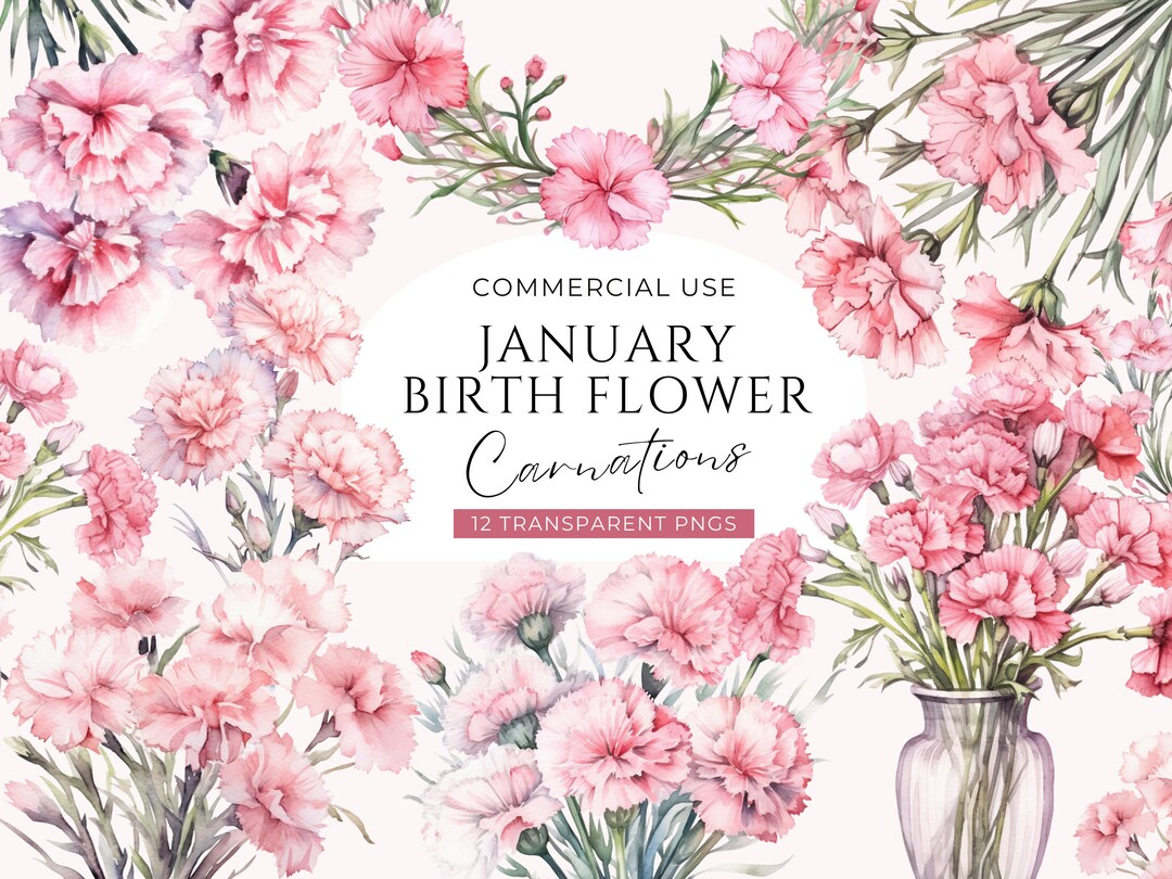 Carnation Clipart, DIGITAL DOWNLOAD, Birth Month January Clip Art ...
