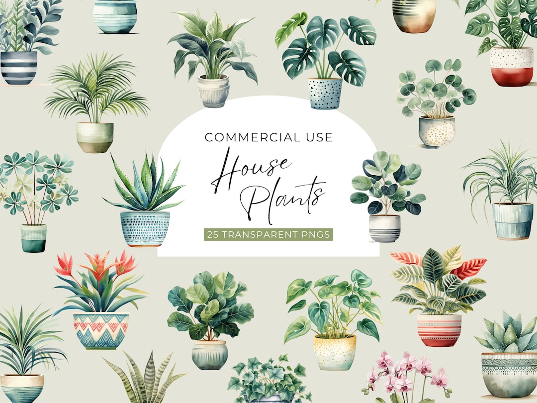 Watercolor House Plant Clipart, DIGITAL DOWNLOAD, Potted Plant ...