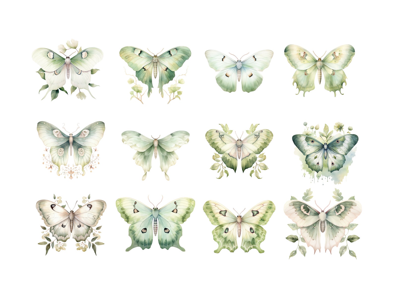 Luna Moth Clipart Bundle, DIGITAL DOWNLOAD, Watercolor Moon Moth Clip ...