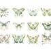 Luna Moth Clipart Bundle, DIGITAL DOWNLOAD, Watercolor Moon Moth Clip ...