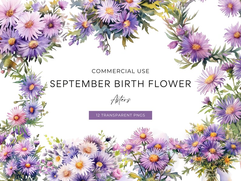 Birth Month Flower Clipart September Bundle DIGITAL DOWNLOAD - Etsy