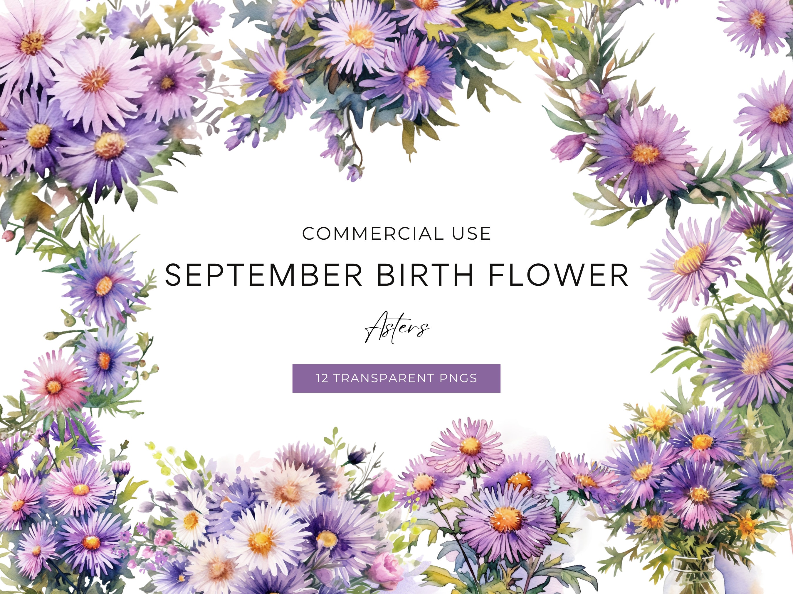 Birth Month Flower Clipart September Bundle DIGITAL DOWNLOAD - Etsy