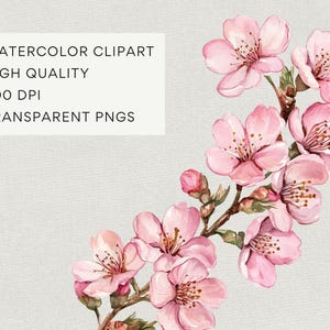Cherry Blossom Clipart, Watercolor Sakura Flower Clip Art, Pink Floral ...