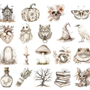 Boho Halloween Clipart, DIGITAL DOWNLOAD, Neutral Pumpkin Watercolor ...