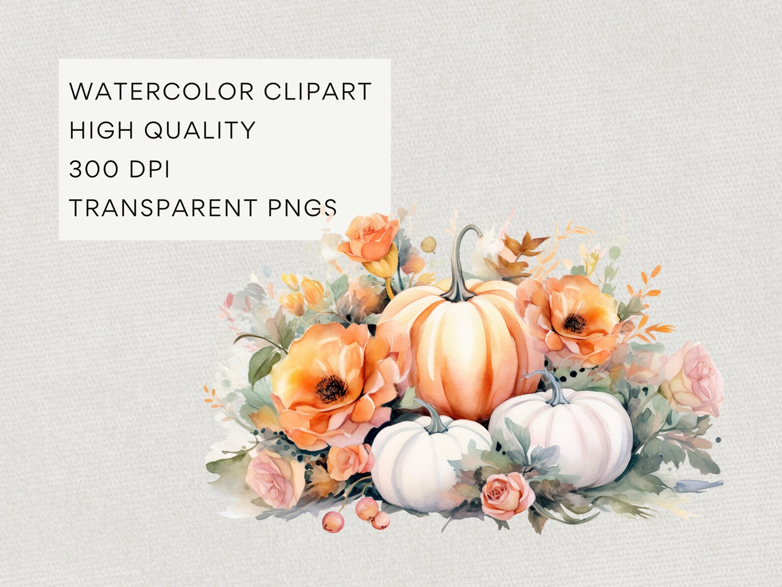 Floral Pumpkins Clipart Bundle DIGITAL DOWNLOAD Fall Autumn - Etsy