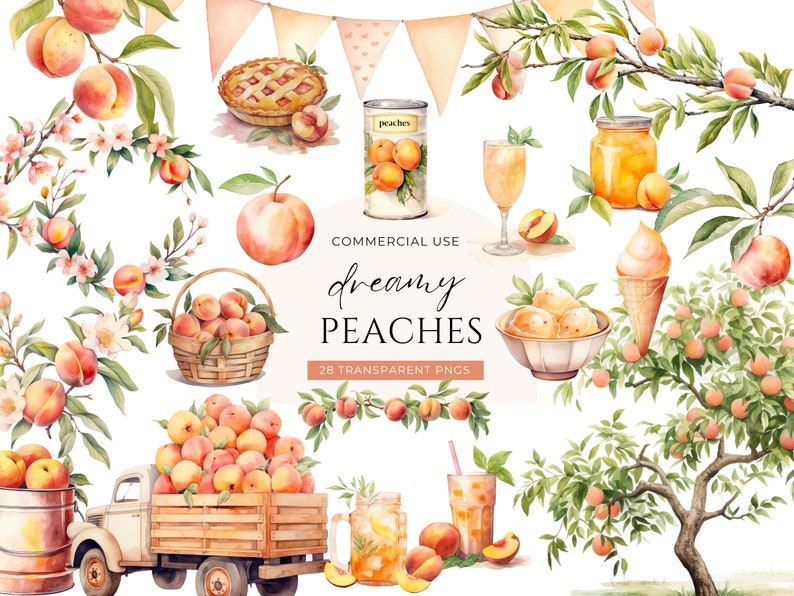 Peach Clipart Commercial Use, DIGITAL DOWNLOAD, Watercolor Peaches ...