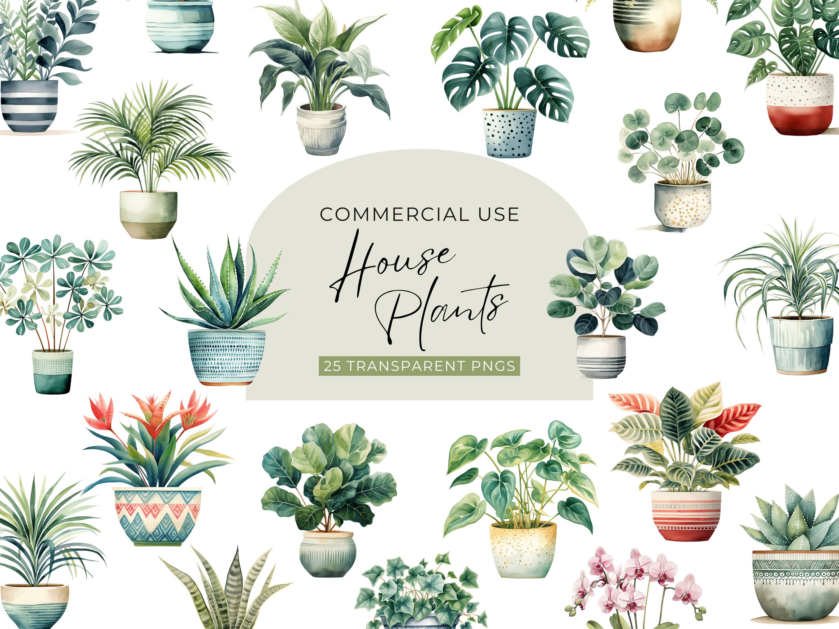 Watercolor House Plant Clipart, DIGITAL DOWNLOAD, Potted Plant ...
