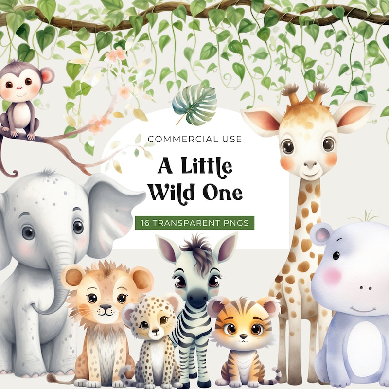 Safari Clipart - Etsy