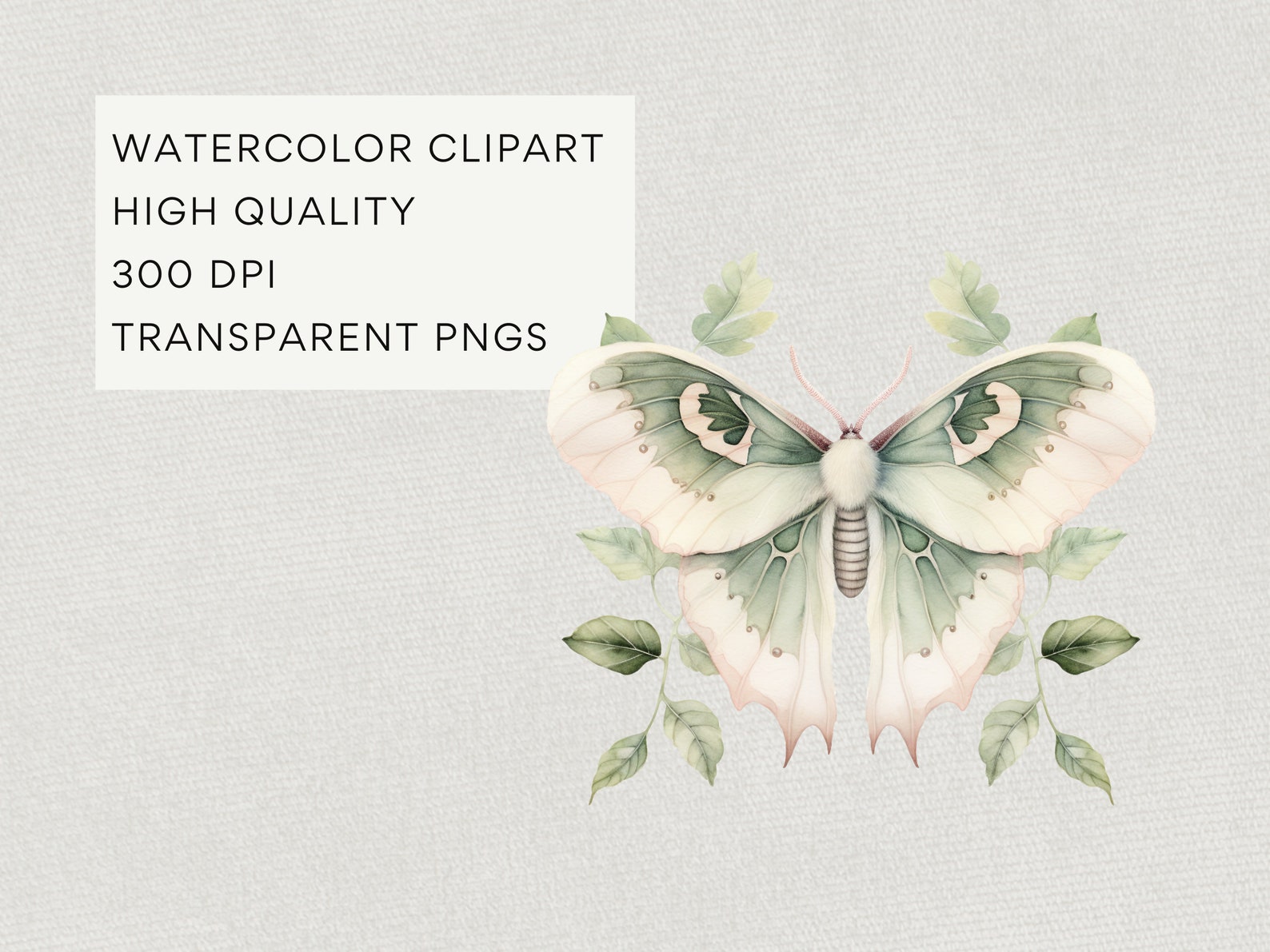 Luna Moth Clipart Bundle, DIGITAL DOWNLOAD, Watercolor Moon Moth Clip ...