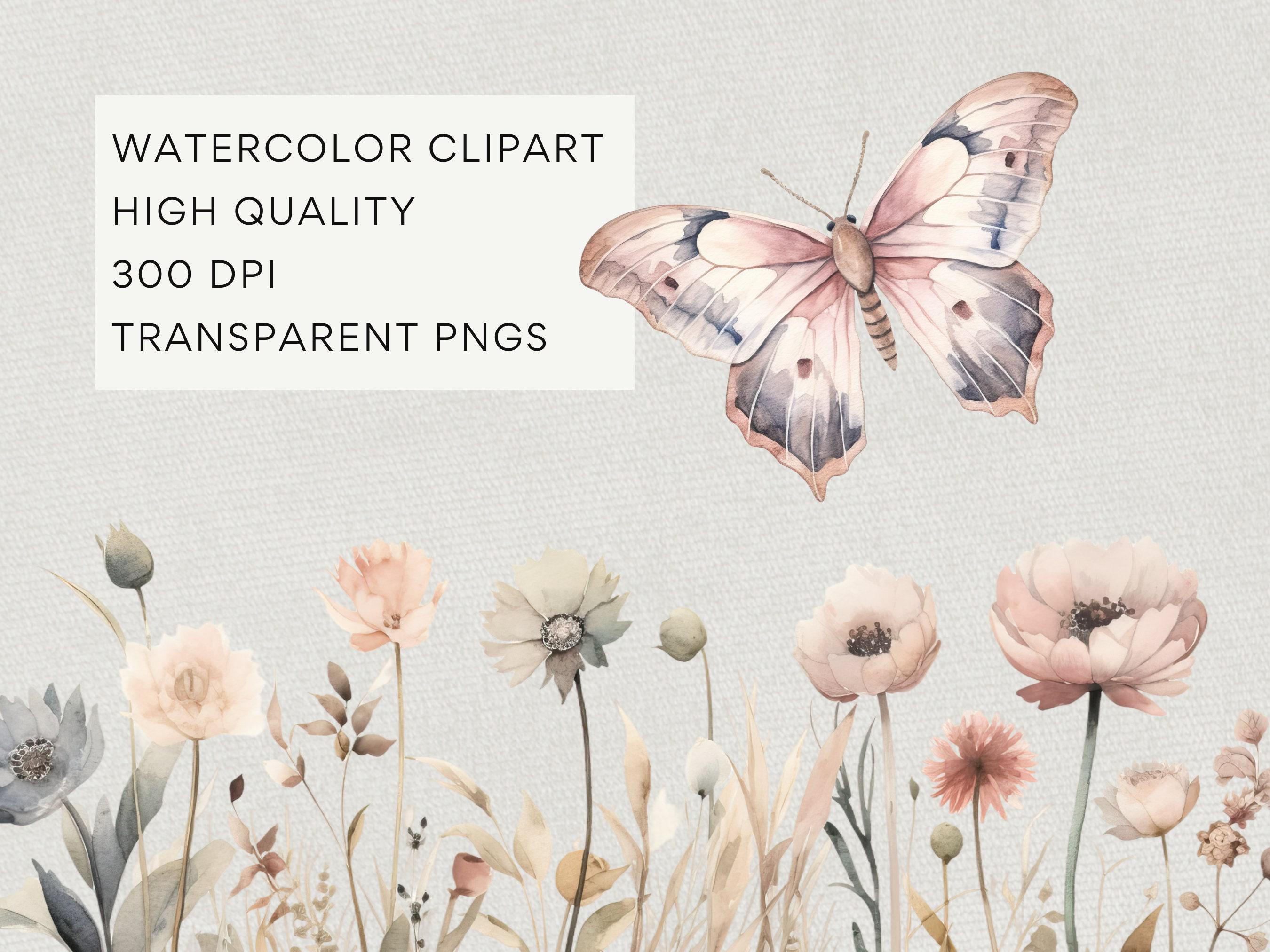 Boho Butterfly Clipart, DIGITAL DOWNLOAD, Watercolor Butterflies ...