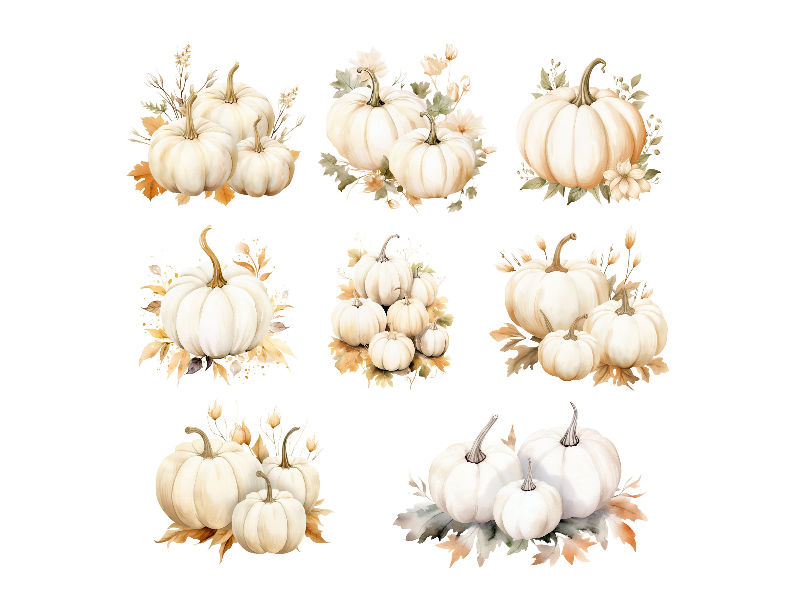 White Pumpkin Clipart, DIGITAL DOWNLOAD, Pumpkin Clipart Baby Shower ...