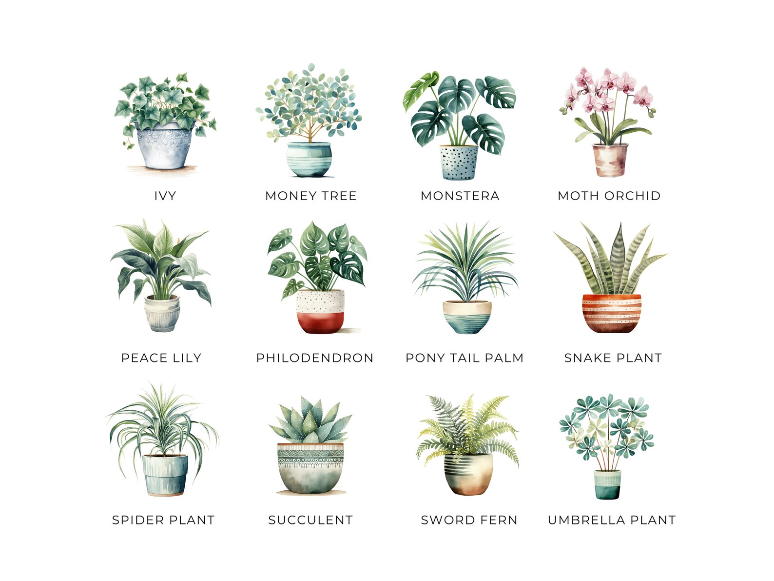 Watercolor House Plant Clipart, DIGITAL DOWNLOAD, Potted Plant ...
