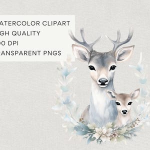 Baby Animal and Mom Clipart, DIGITAL DOWNLOAD, Arctic Mama Clip Art ...