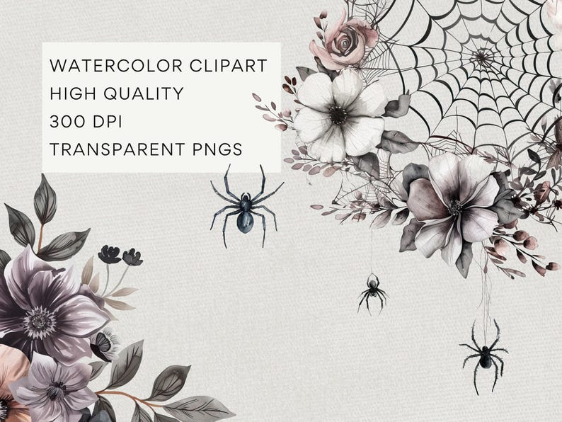 Spiderweb Spider Web Clipart, DIGITAL DOWNLOAD Halloween Clip Art ...