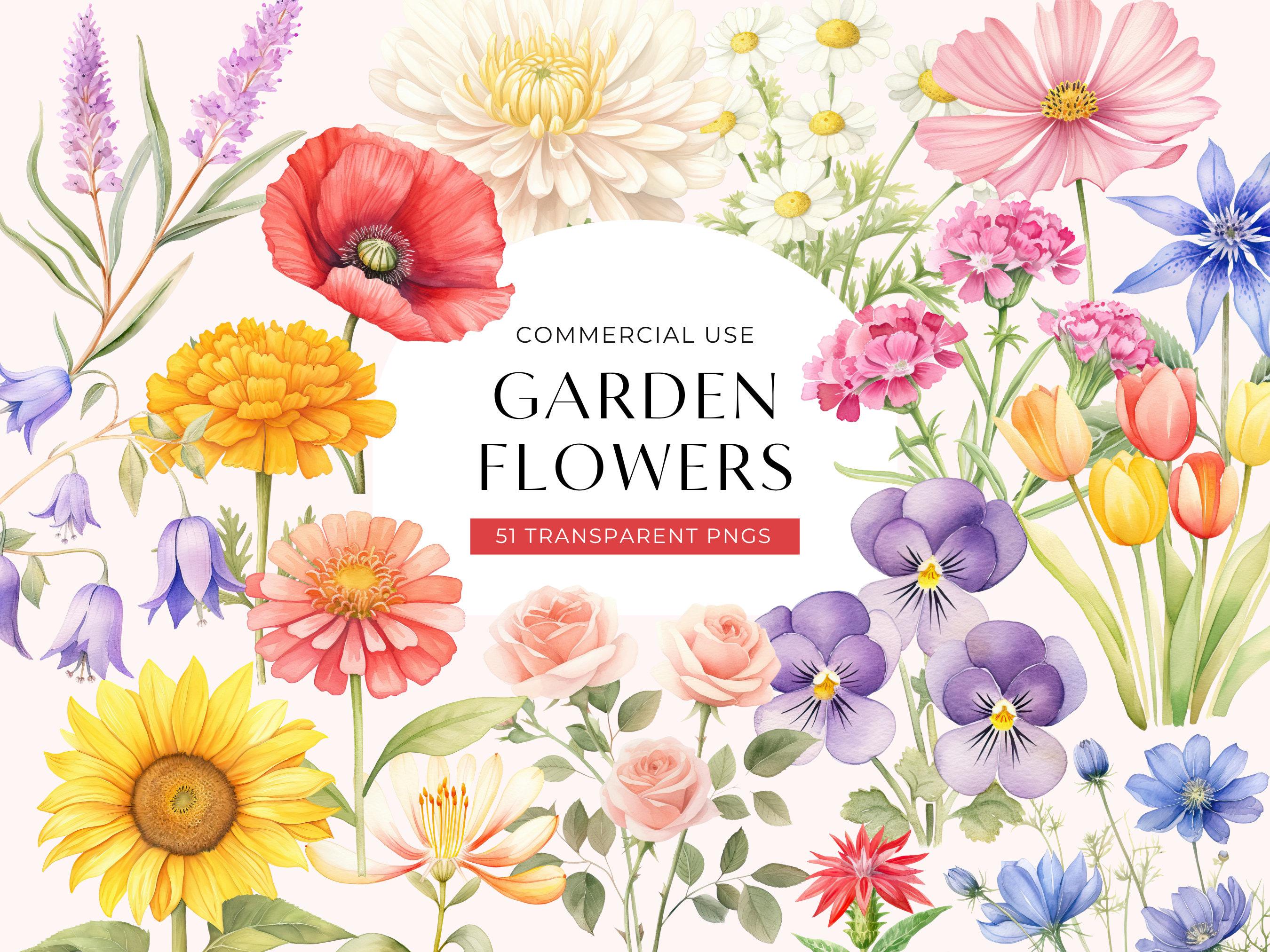 Types of Flowers Clipart, DIGITAL DOWNLOAD, Watercolor Garden Planner ...