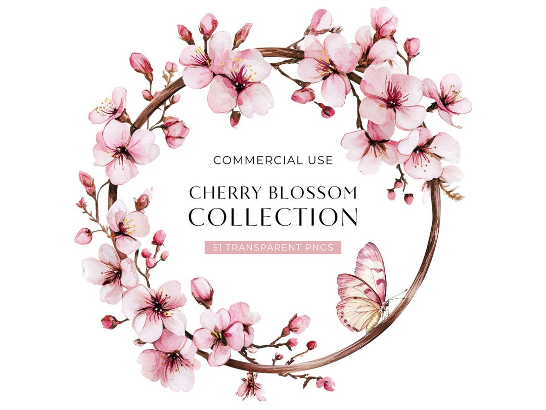 Cherry Blossom Clipart, Watercolor Sakura Flower Clip Art, Pink Floral ...
