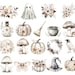 Boho Halloween Clipart, DIGITAL DOWNLOAD, Neutral Pumpkin Watercolor ...