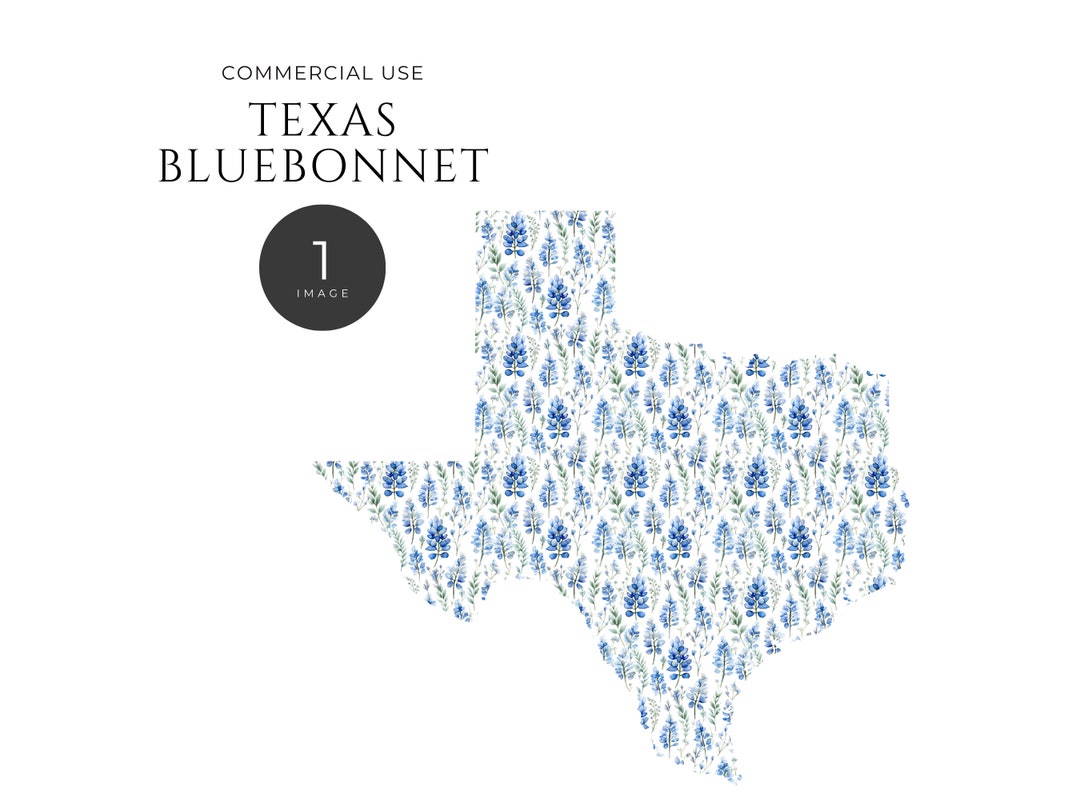 Watercolor Bluebonnet Texas Clipart, Single Image DIGITAL DOWNLOAD ...
