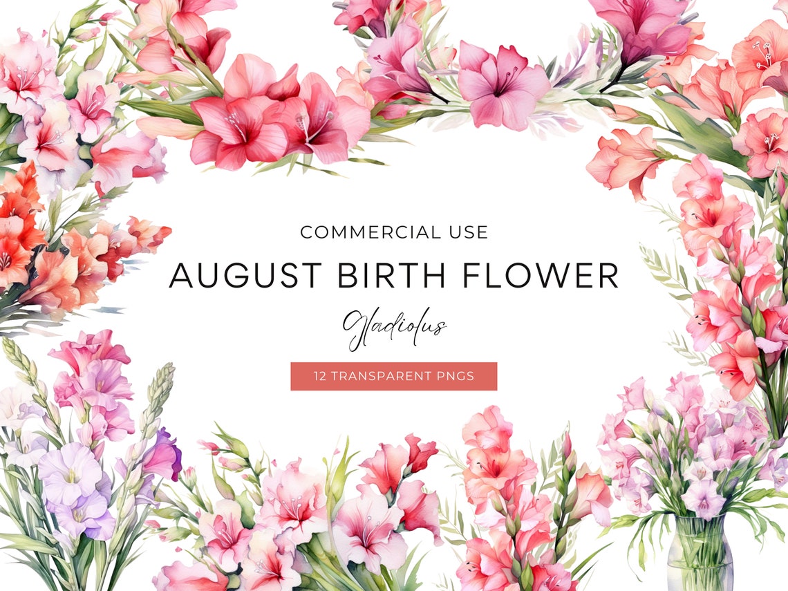 Birth Month Flowers August Clipart Bundle DIGITAL DOWNLOAD - Etsy