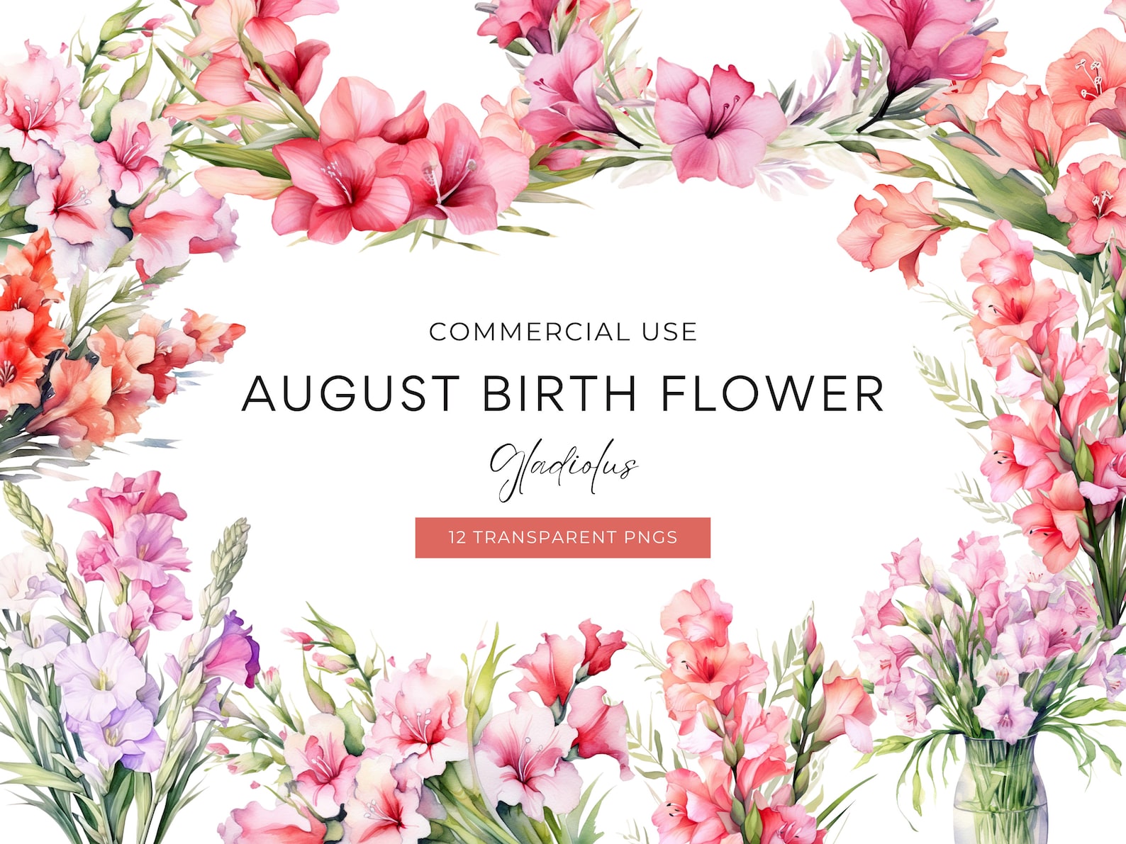 Birth Month Flowers August Clipart Bundle DIGITAL DOWNLOAD - Etsy