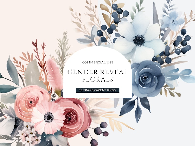 Gender Reveal Clipart DIGITAL DOWNLOAD Boy or Girl Baby - Etsy