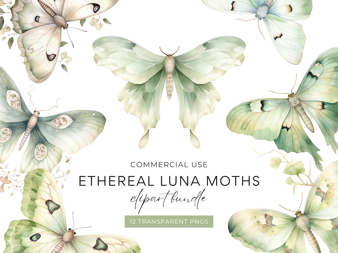 Luna Moth Clipart Bundle, DIGITAL DOWNLOAD, Watercolor Moon Moth Clip ...