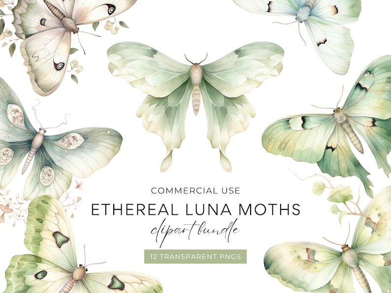 Luna Moth Clipart Bundle, DIGITAL DOWNLOAD, Watercolor Moon Moth Clip ...