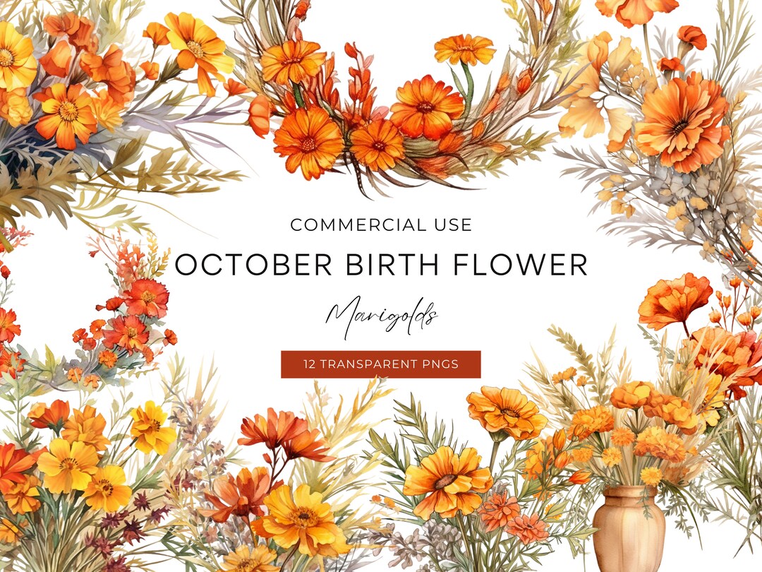 Birth Month Flower Clipart October Bundle, DIGITAL DOWNLOAD, Marigold ...