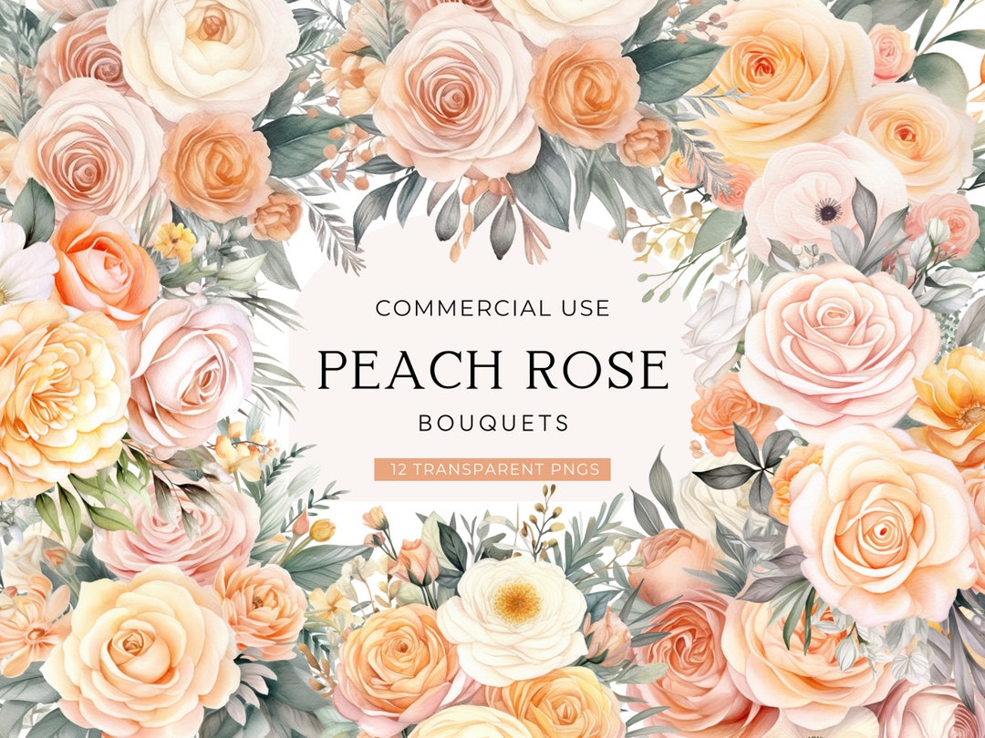 Peach Rose Clipart, DIGITAL DOWNLOAD, Peach Floral Clipart, Spring ...