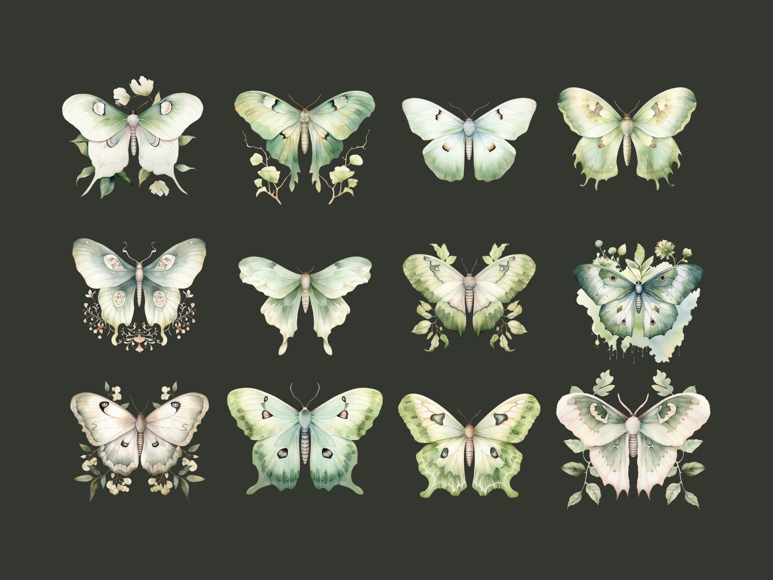 Luna Moth Clipart Bundle, DIGITAL DOWNLOAD, Watercolor Moon Moth Clip ...
