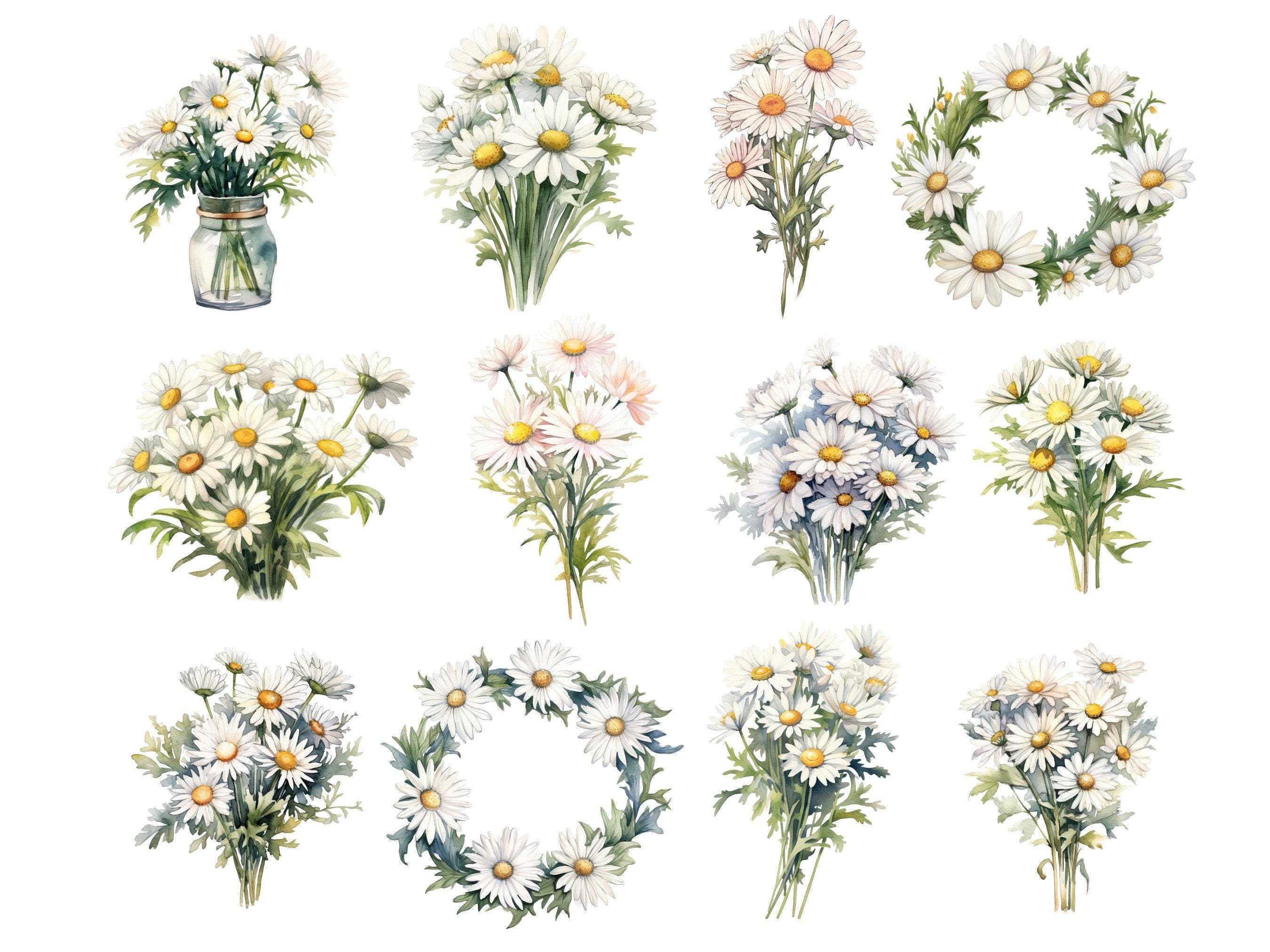Daisy Birth Flower Clipart, DIGITAL DOWNLOAD, April Birth Month Clip ...
