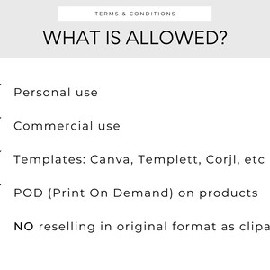 Fall Animal Clipart, DIGITAL DOWNLOAD, Woodland Creatures Illustrations ...