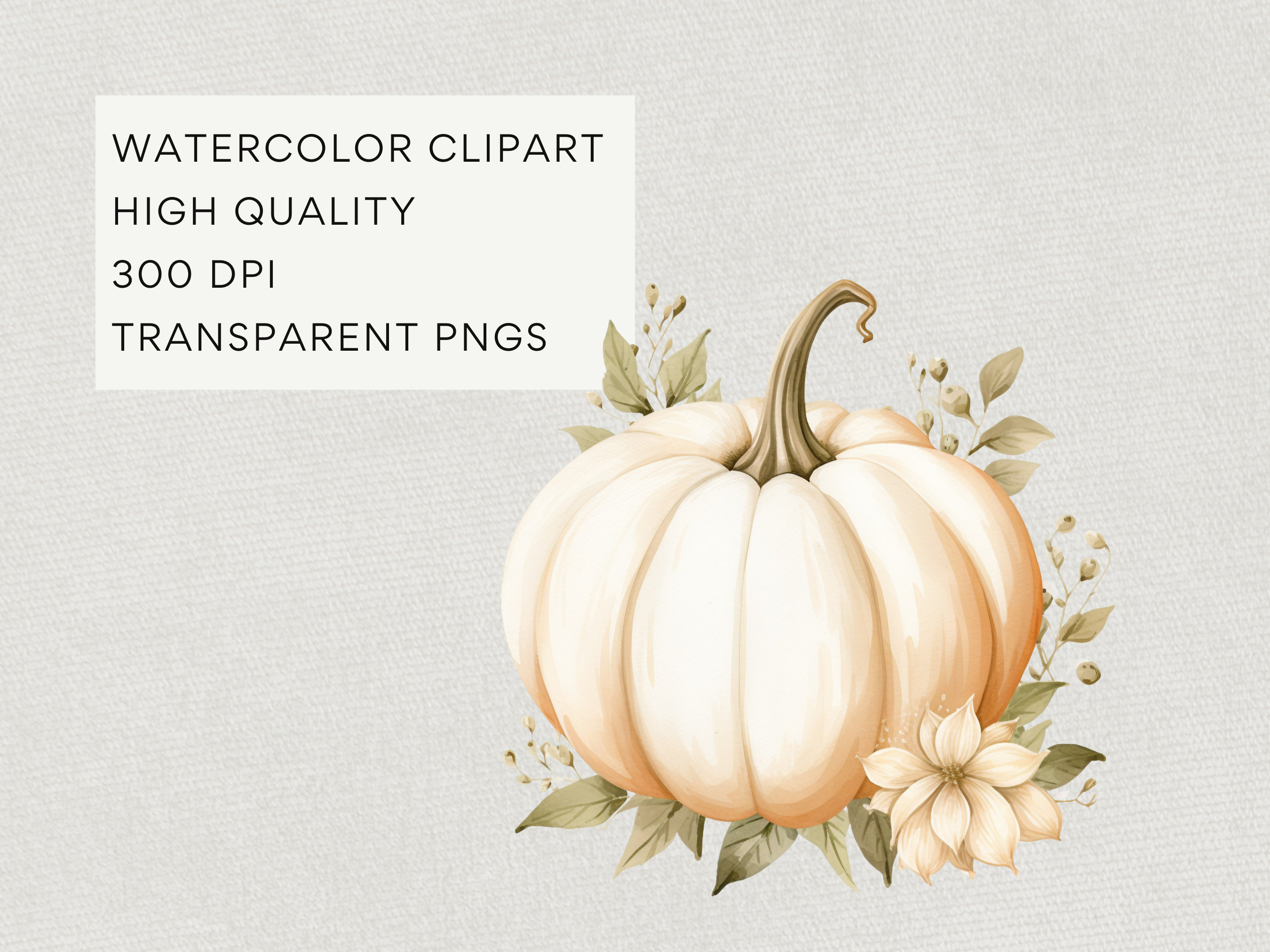 White Pumpkin Clipart, DIGITAL DOWNLOAD, Pumpkin Clipart Baby Shower ...