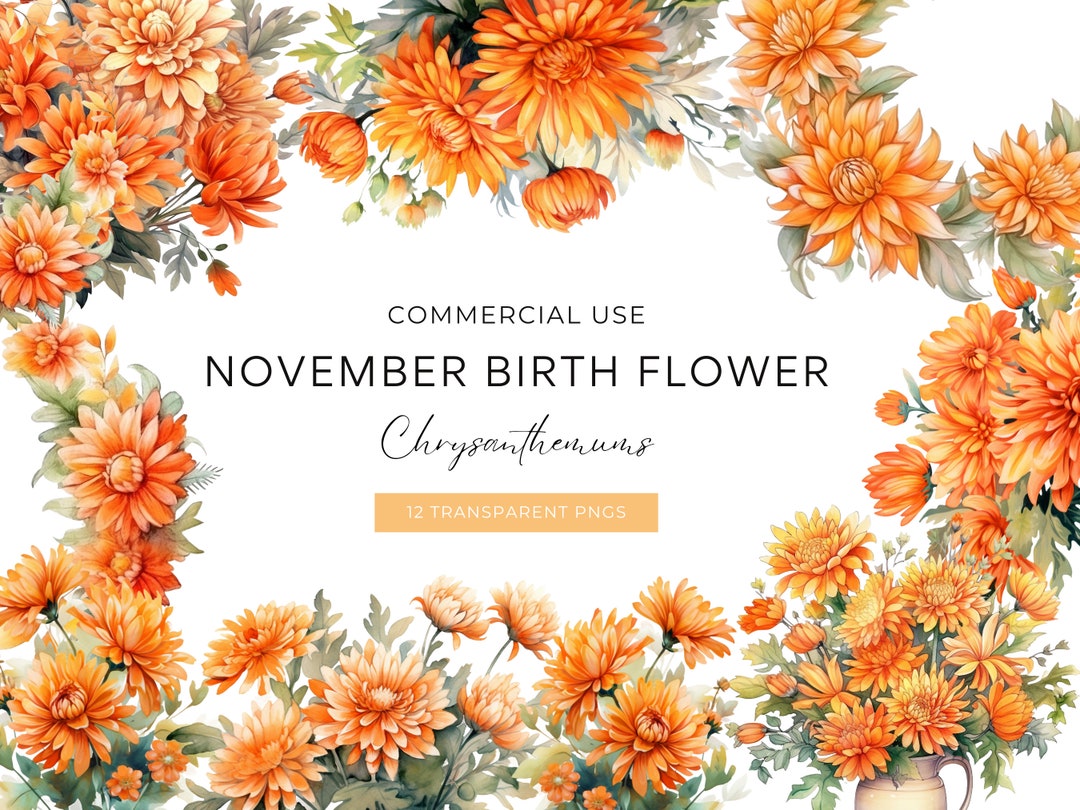 Birth Month Floral Clipart November Bundle, DIGITAL DOWNLOAD ...