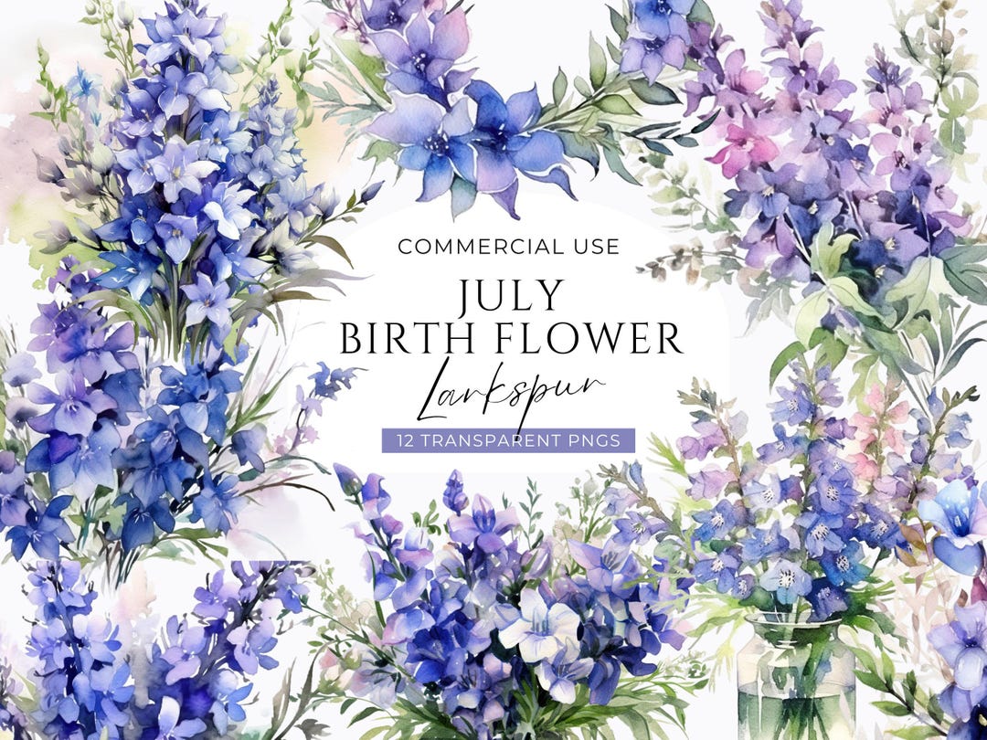 Birth Month Flowers July Clipart Bundle, DIGITAL DOWNLOAD, Larkspur ...