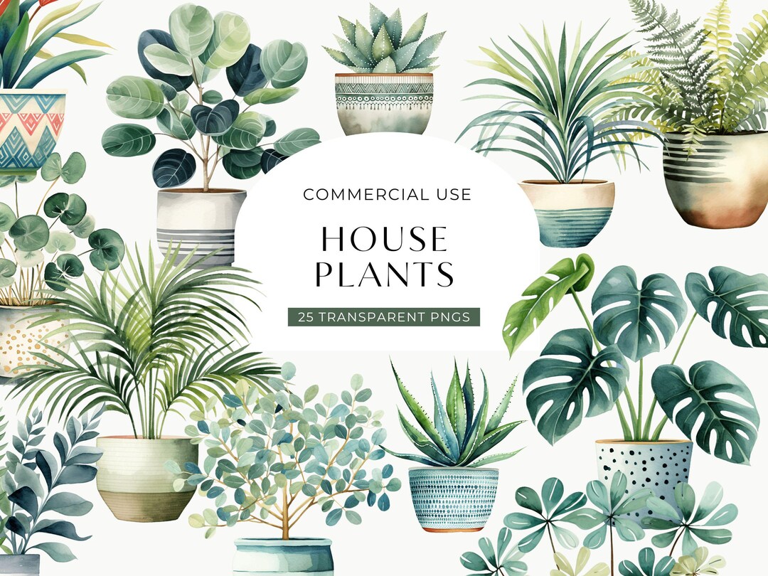 Watercolor House Plant Clipart, DIGITAL DOWNLOAD, Potted Plant ...