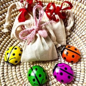 Lively Ladybugs, Teacher Gift, Kenyan Soapstone Ladybugs, Spring ...