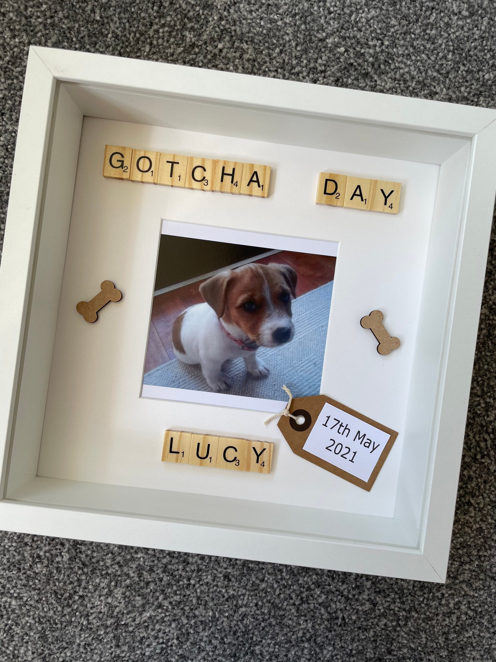 Dog Gotcha Day Frame Puppy Gotcha Day Frame Pet Gift Dog - Etsy