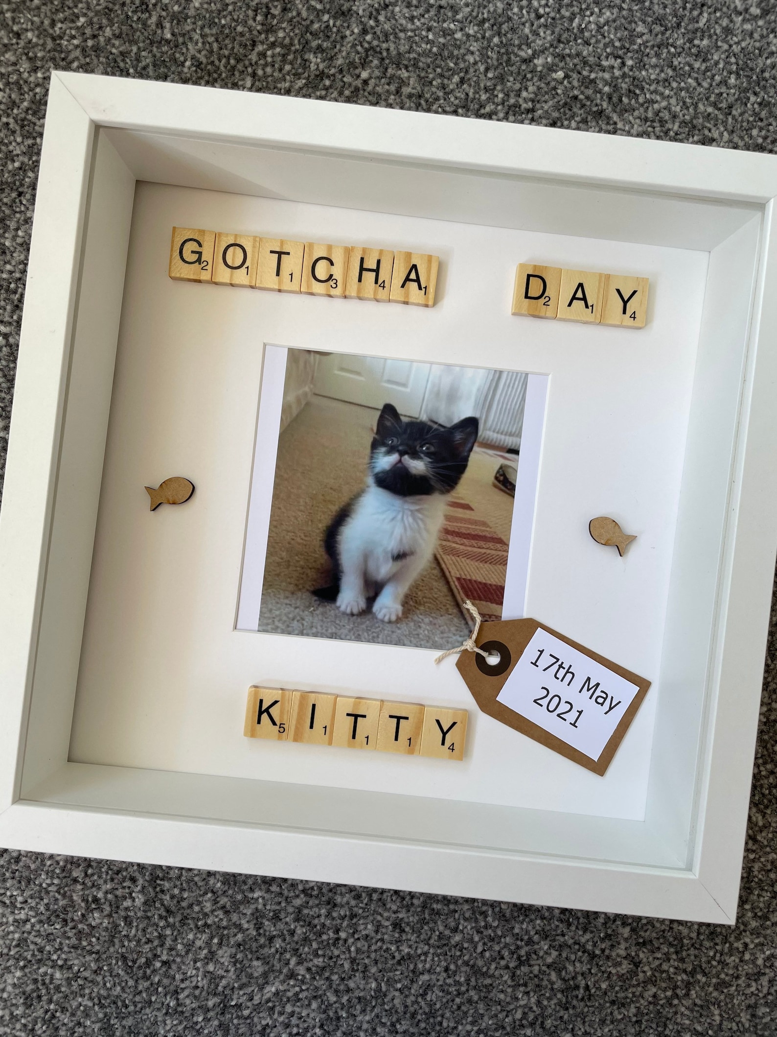Cat Gotcha Day Frame Kitten Gotcha Day Frame Pet Gift Cat - Etsy